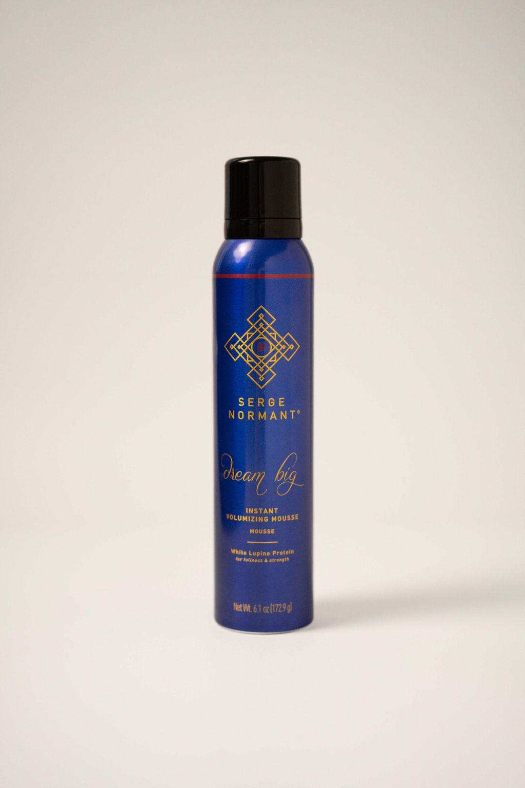 Dream Big Instant Volumizing Mousse | Serge Normant